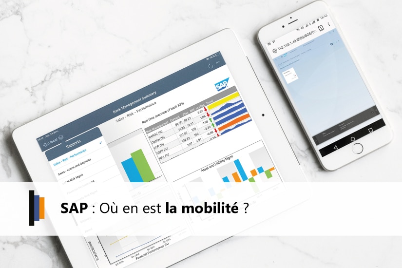 SAP Mobile : découvrez un aperçu des différentes solutions mobiles SAP