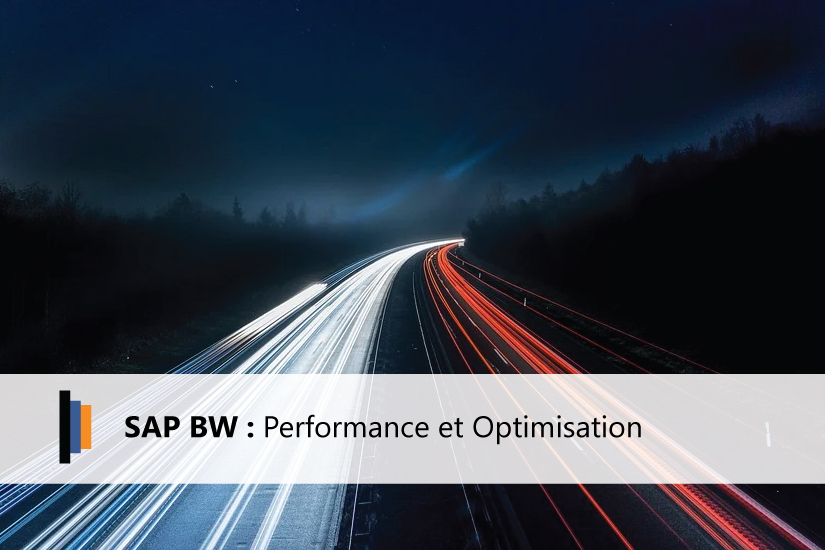 Performance et optimisation : les bonnes pratiques sur SAP BW