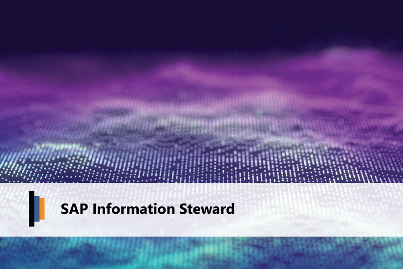 SAP Information Steward - Présentation de l'outil de la suite SAP